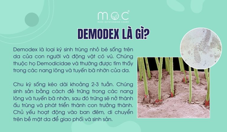 Demodex là gì? Triệu chứng, chẩn đoán, cách điều trị